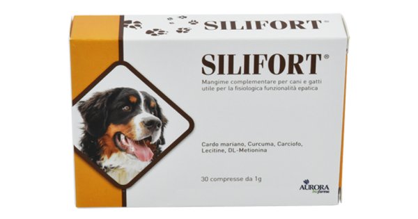SILIFORT 30COMPRESSE 1G
